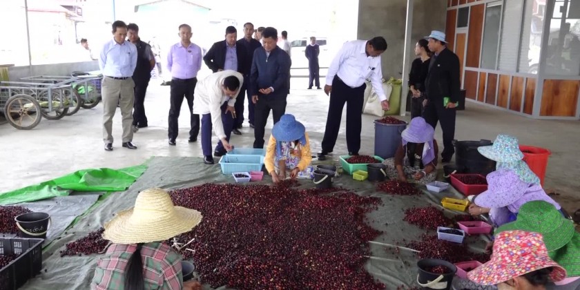 Inspections in Hopong: SAC members inspect coffee factory and resort ...