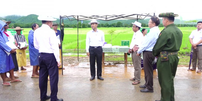 Tour in Mong Pan: Visiting the paddy field and meeting for regional ...