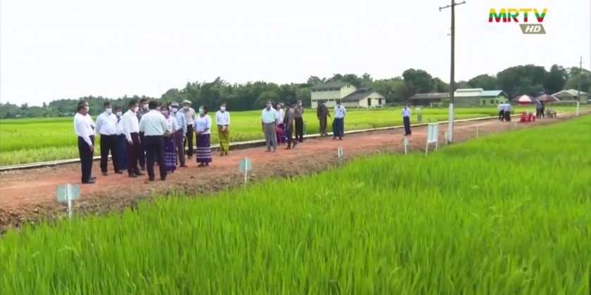 MSME development: Union Minister visited 200-tonne rice mill in ...