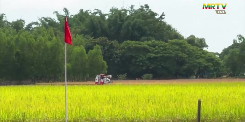 Rice Export: Myanmar plans to export million tons of rice | Myanmar ...