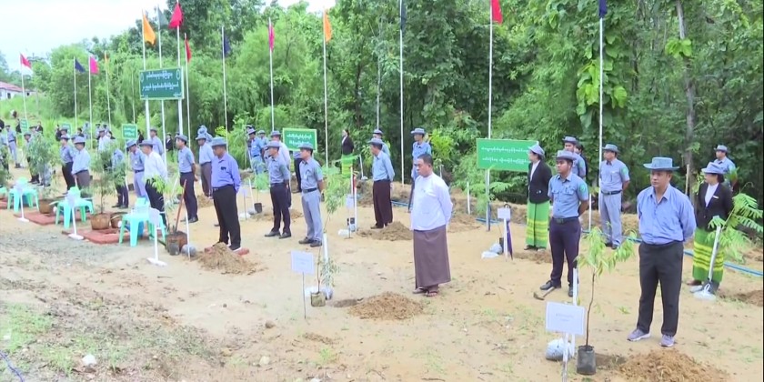 Monsoon Tree Planting : MOBA held its first monsoon tree planting ...