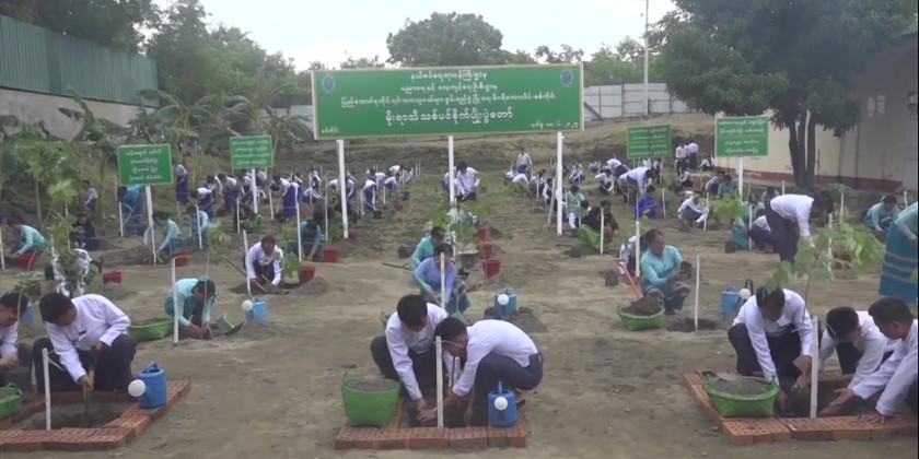 Monsoon Tree Planting : MOBA held its first monsoon tree planting ...