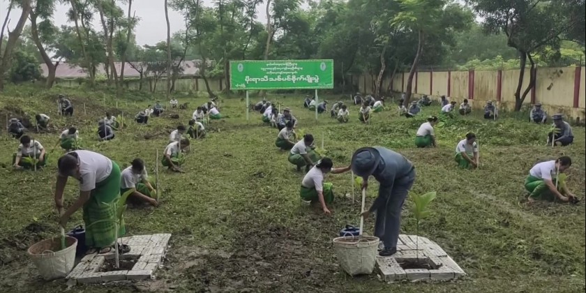 Monsoon Tree Planting : MOBA held its first monsoon tree planting ...