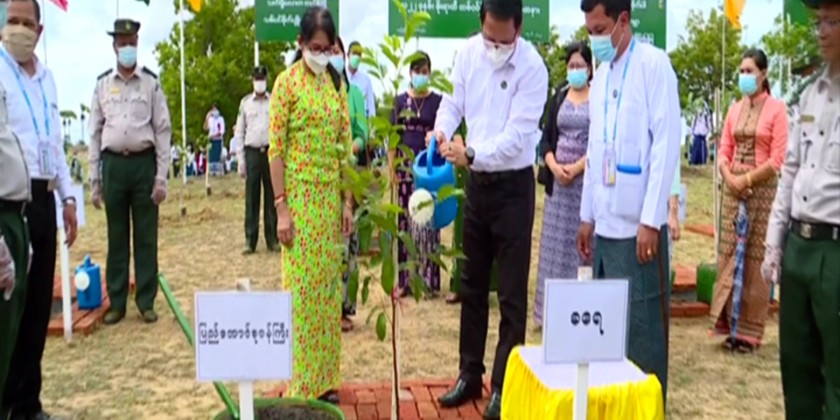 Monsoon tree-growing: MRTV, PPD hold ceremonies of tree-growing ...