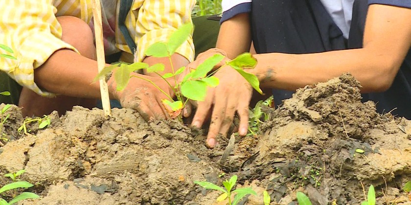 Tree planting activities: Myanmar Christian Fellowship of the Blinds ...