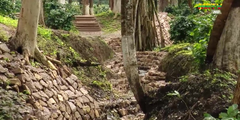 Pyin Oo Lwin Coffee Park: People can learn and treat the coffee in one ...