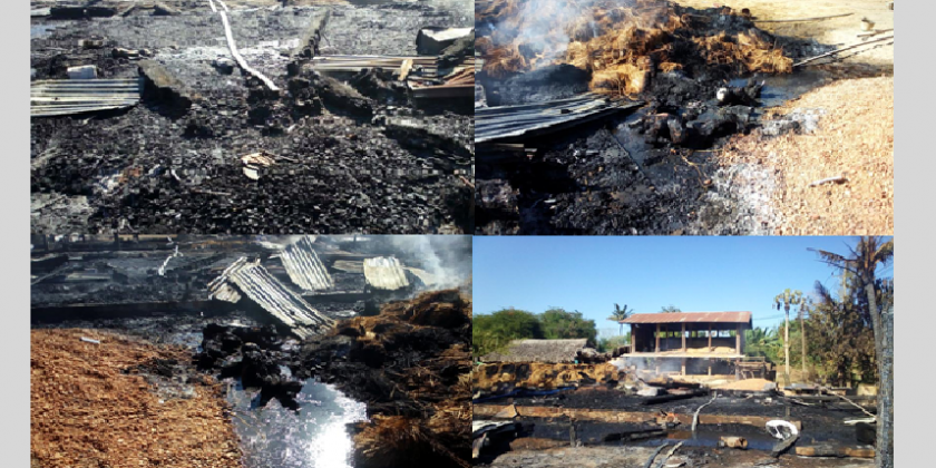 Armed Attack : 10 people killed in Thaketa Village of Taze Township ...