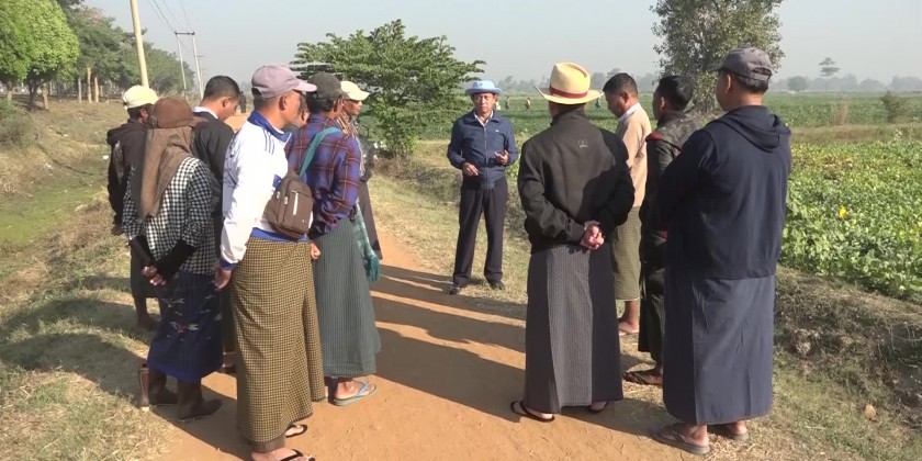 Efforts for agricultural development: MoALI DM talked on dangers of ...