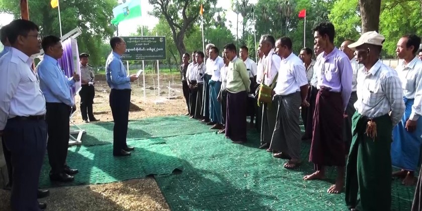 National Reforestation Initiative: Over 22 million saplings to be ...