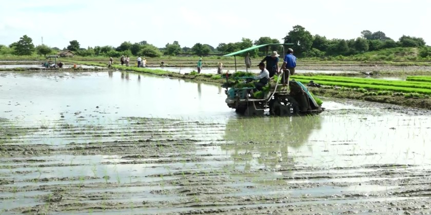 Riding-type Rice Transplanters: MCRD UM attended the demonstration of ...