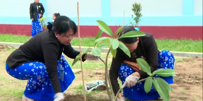 Tree Planting Ceremony: MOLA UM joined the tree planting ceremony ...