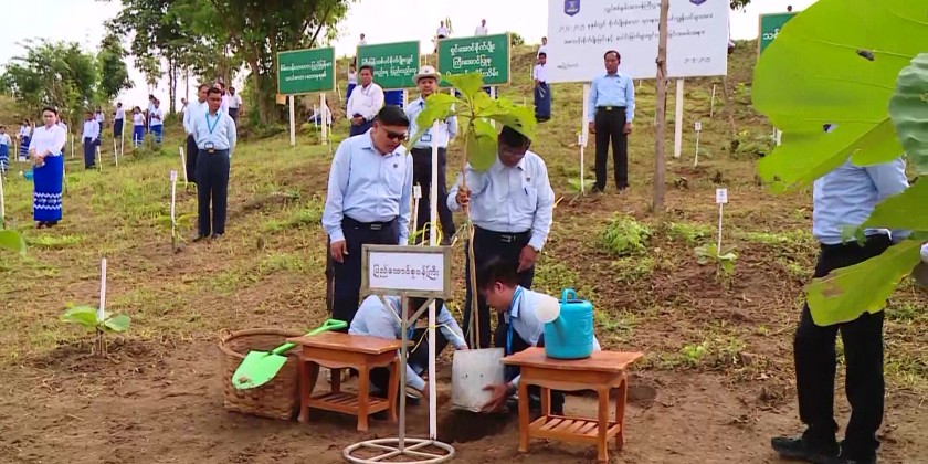 Replanting of Trees : Efforts for greening environs | Myanmar ...