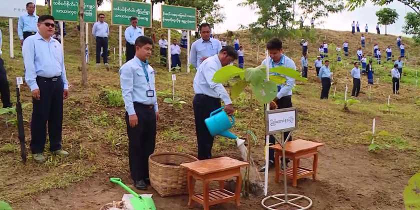 Replanting of Trees : Efforts for greening environs | Myanmar ...