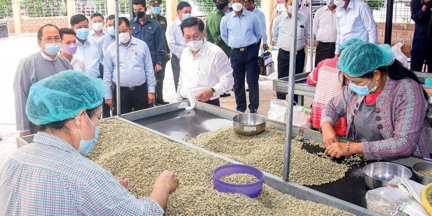 Coffee Industry: SAC Chairman Visited Coffee Farms In Pyin Oo Lwin ...
