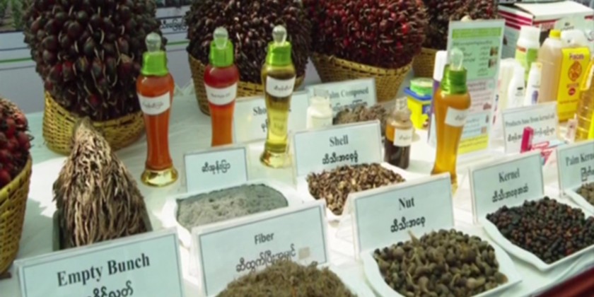 Seed Fair Week 2022: Roundtable Discussion On Cotton Sector Development ...