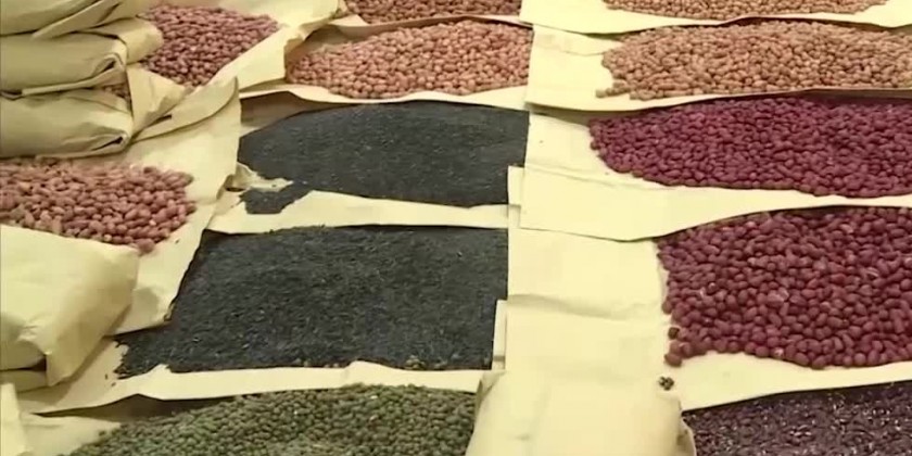 Myanmar's Bean Market: High demand for beans and pulses from India ...
