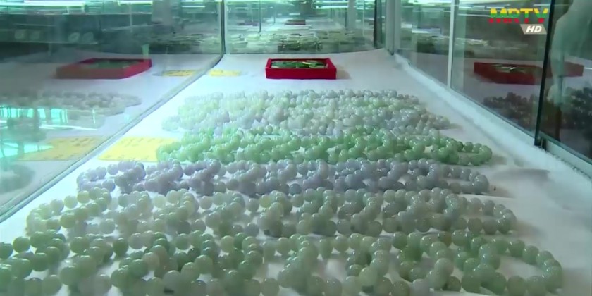 Mid-year Gem Emporium: Aiming for economic benefits for the citizens ...