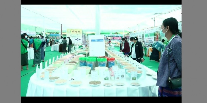 Seed Fair 2022: The Seed Fair 2022 organized the 5th day | Myanmar ...