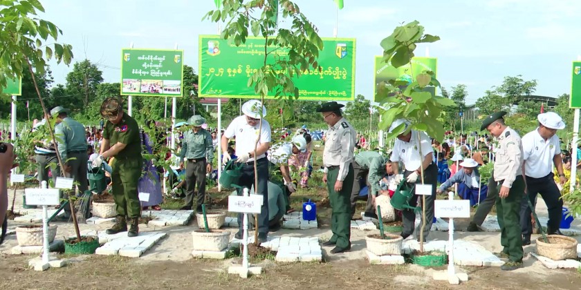 3rd time tree planting: Kachin State CM participated in tree planting ...