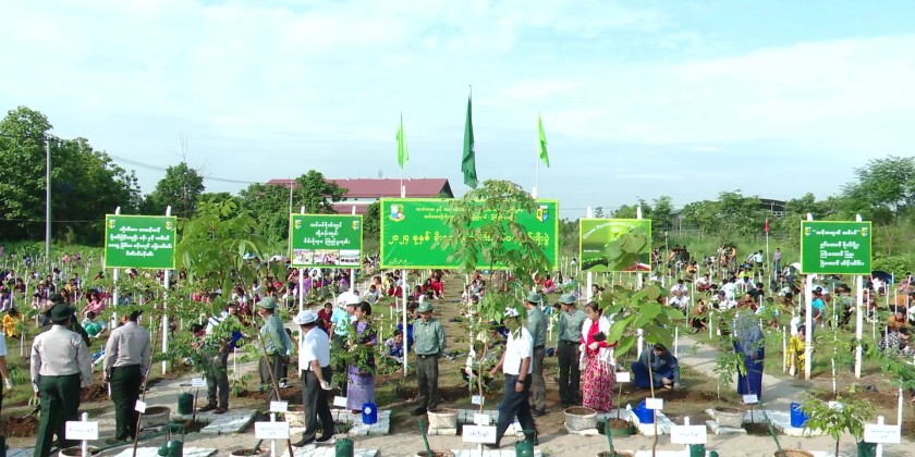 3rd time tree planting: Kachin State CM participated in tree planting ...