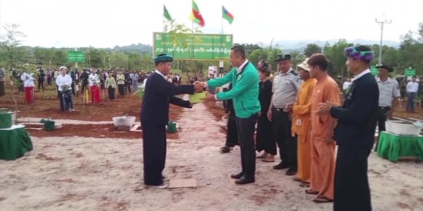 Collective trees planting: Trees planted collectively in Hopone ...