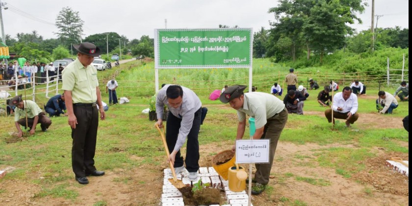 Monsoon Tree Planting Ceremony: Over 8,200 saplings planted in Nay Pyi ...