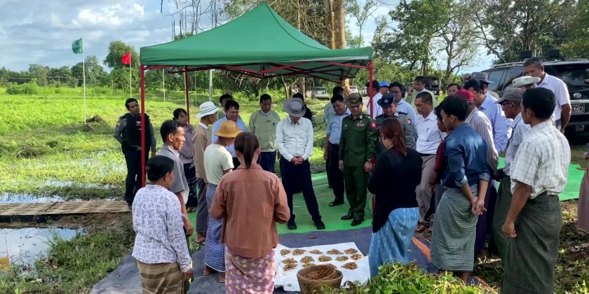 Agriculture Sector: Bago Region Chief Minister makes inspections ...