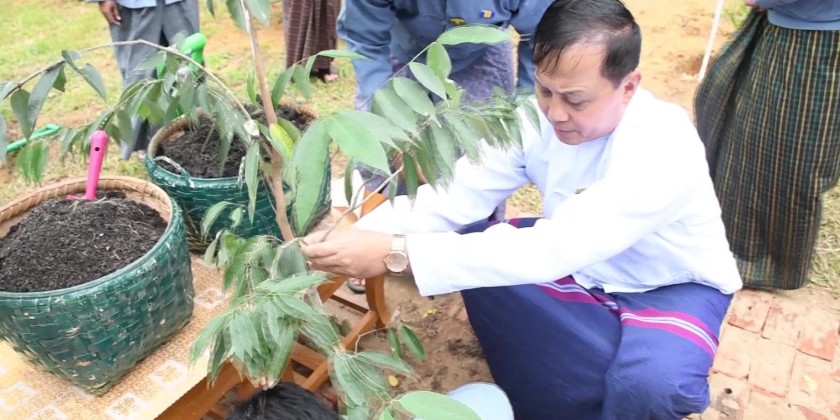 Monsoon Tree Planning: MoEA held 2nd monsoon tree planning | Myanmar ...