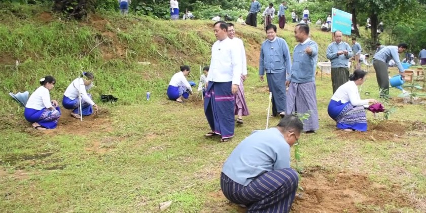Monsoon Tree Planning: MoEA held 2nd monsoon tree planning | Myanmar ...