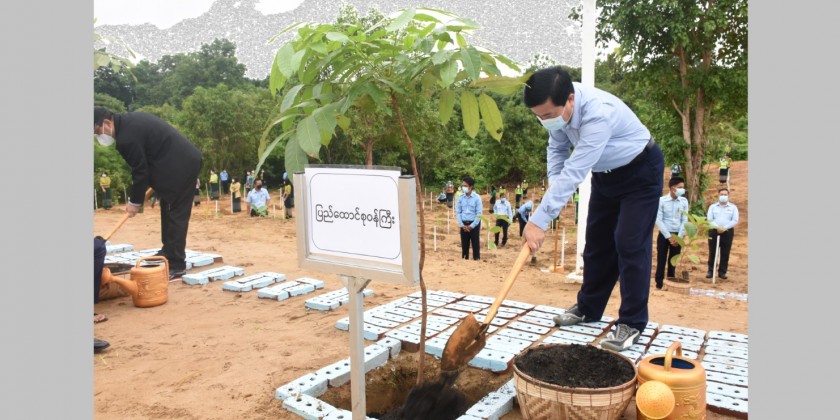Tree planting: MoC held monsoon season trees planting ceremony ...