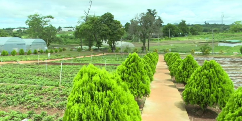 Agricultural sector: MoALI Union Minister inspected farms and factory ...