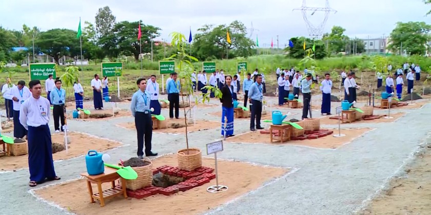 Monsoon Tree Planting Event: MOEP plants over 13,000 mango saplings ...