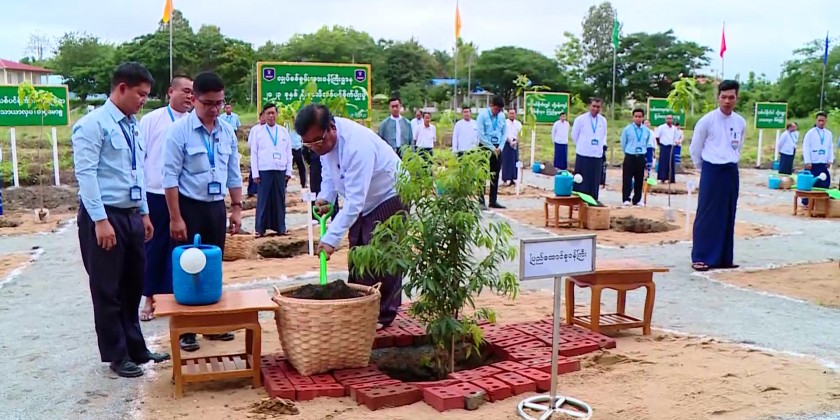 Monsoon Tree Planting Event: MOEP plants over 13,000 mango saplings ...
