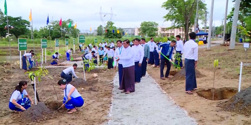 Monsoon Tree Planting Event: MOEP plants over 13,000 mango saplings ...