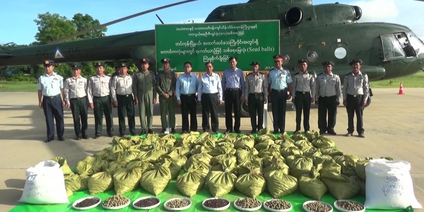 Forest Conservation: Seed balls scattered in Nay Pyi Taw and Shan State ...