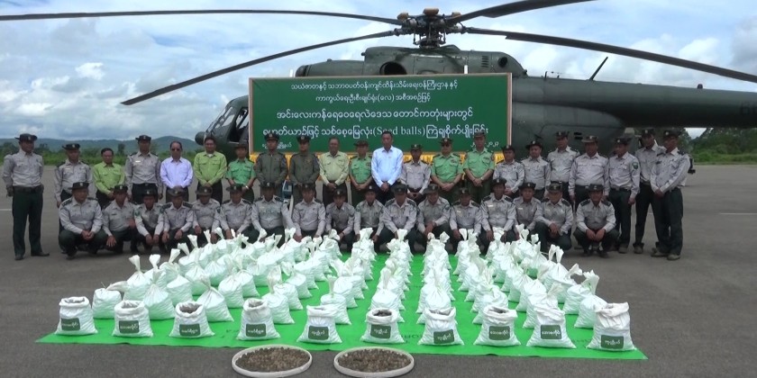 Forest Conservation: Seed balls scattered in Nay Pyi Taw and Shan State ...
