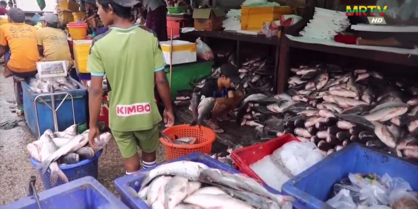 Fish and Prawn market: Marine products flow into Yangon Fish Market ...