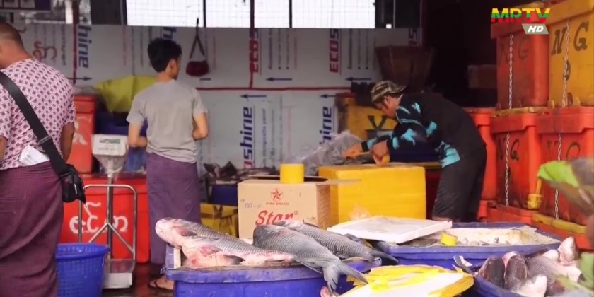 Fish and Prawn market: Marine products flow into Yangon Fish Market ...