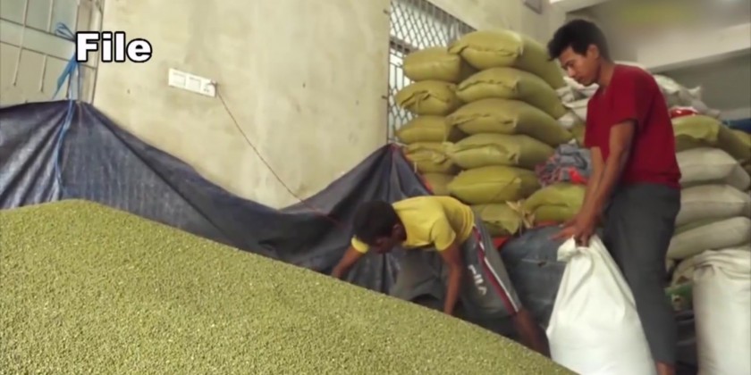 Pulses, beans and sesame export: Export to over 60 countries, mostly to ...