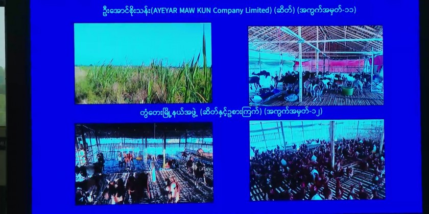 Livestock breeding zone: Yangon Region CM inspected livestock breeding ...