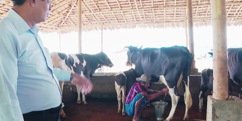 Livestock breeding zone: Yangon Region CM inspected livestock breeding ...