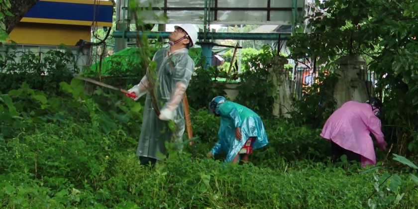 Collective Cleaning Works: Chief Minister takes part in activties in ...