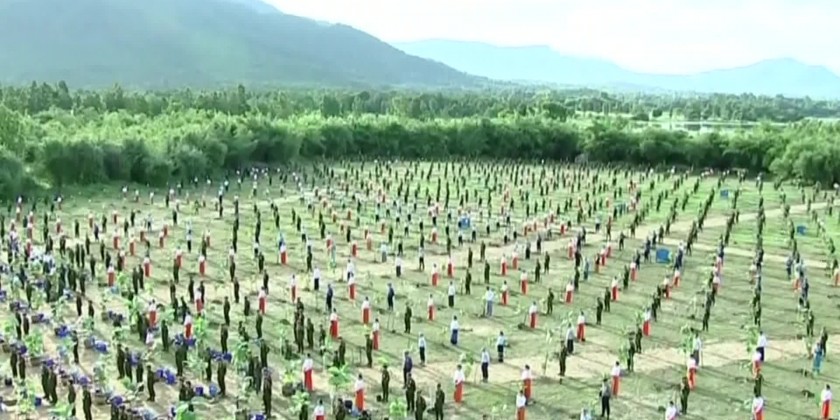 Monsoon Tree Plantation Ceremony: A total of 2,400 saplings planted ...
