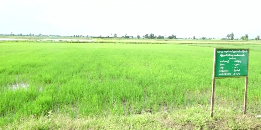 Agriculture & Livestock Sector: Dy Minister explains organic fertilizer ...