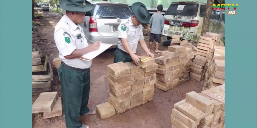 Illegal Trade: Illegal materials, consumer goods and timber seized ...