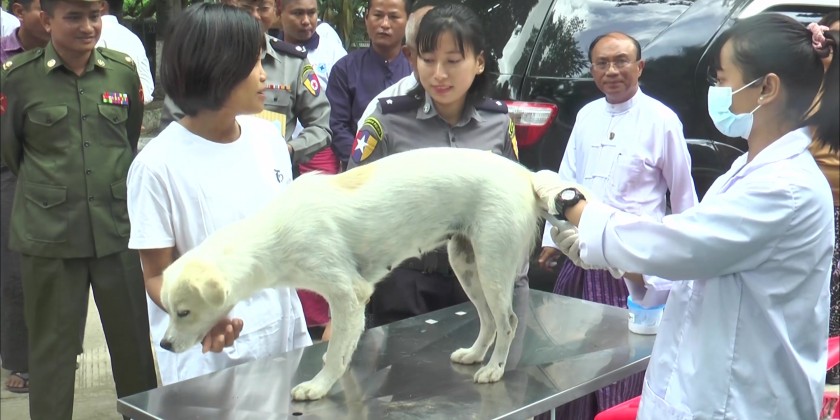 World Rabies Day: Commemoration Ceremony held in Nay Pyi Taw | Myanmar ...