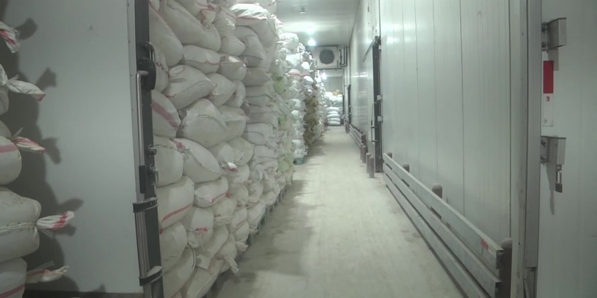 Efforts for Agricultural Development: MoALI DM inspected cold storage ...