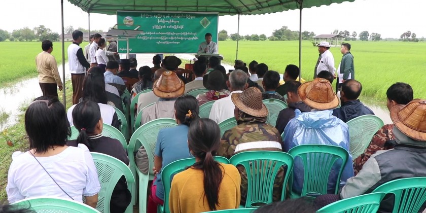 Agriculture Development: Fertilizers provided to farmers in Mudon ...