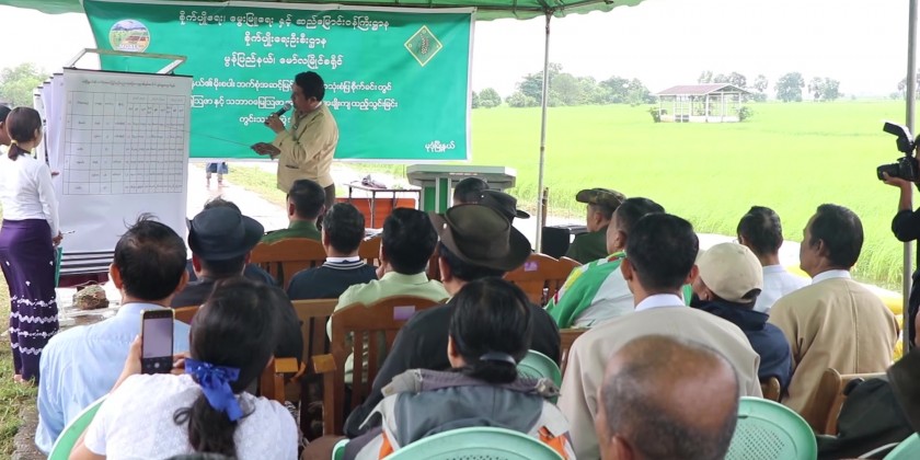 Agriculture Development: Fertilizers provided to farmers in Mudon ...