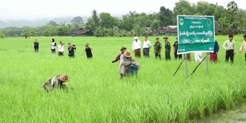 Agriculture Development: Fertilizers provided to farmers in Mudon ...